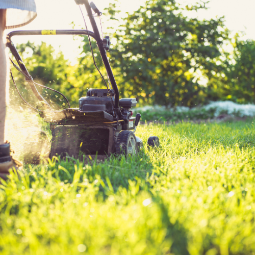 Mowing Your Lawn in the Fall | Cardinal Lawns