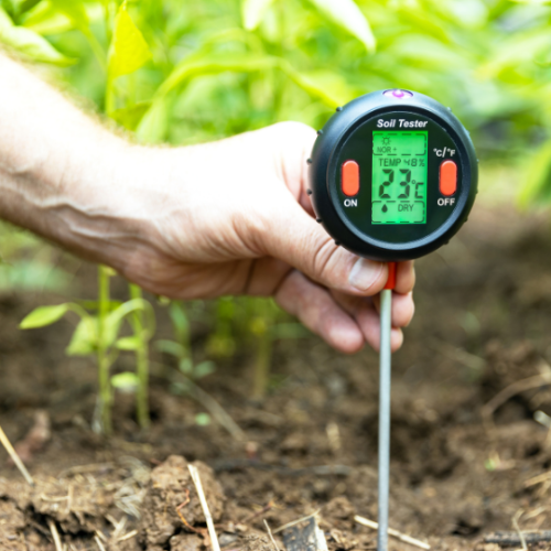 How Important is Soil Testing? | Cardinal Lawns